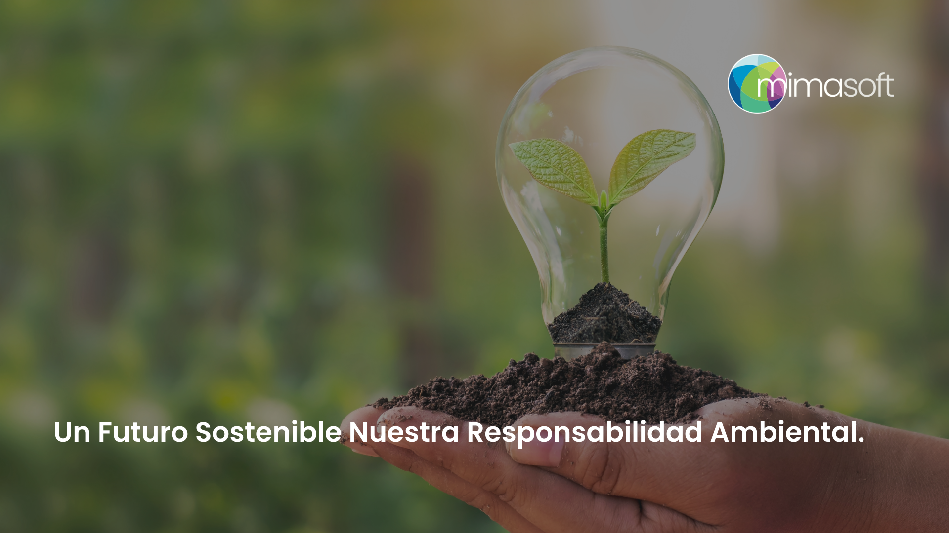 La Responsabilidad Ambiental Como Estrategia de Negocios - MIMASOFT